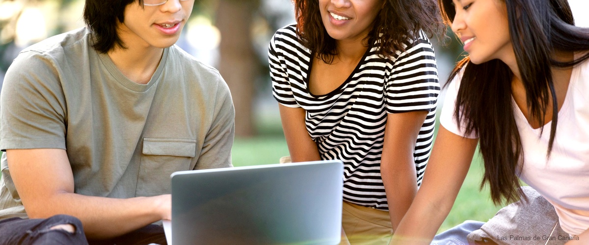 8 Mejores academias de coreano en Las Palmas de Gran Canaria